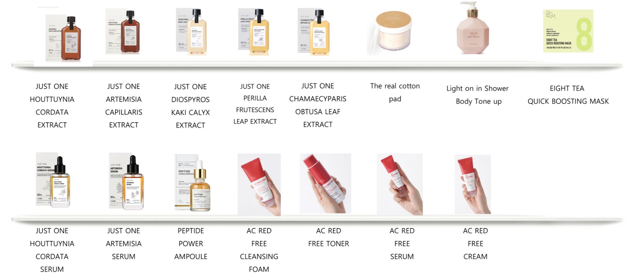 About - BOM - Beauty of Majesty